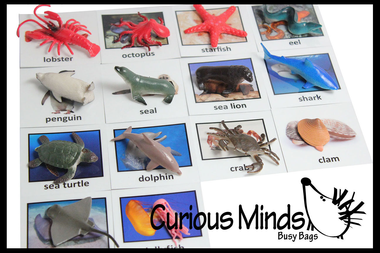 Montessori Ocean Animal Match Miniature Animals With - Etsy Australia