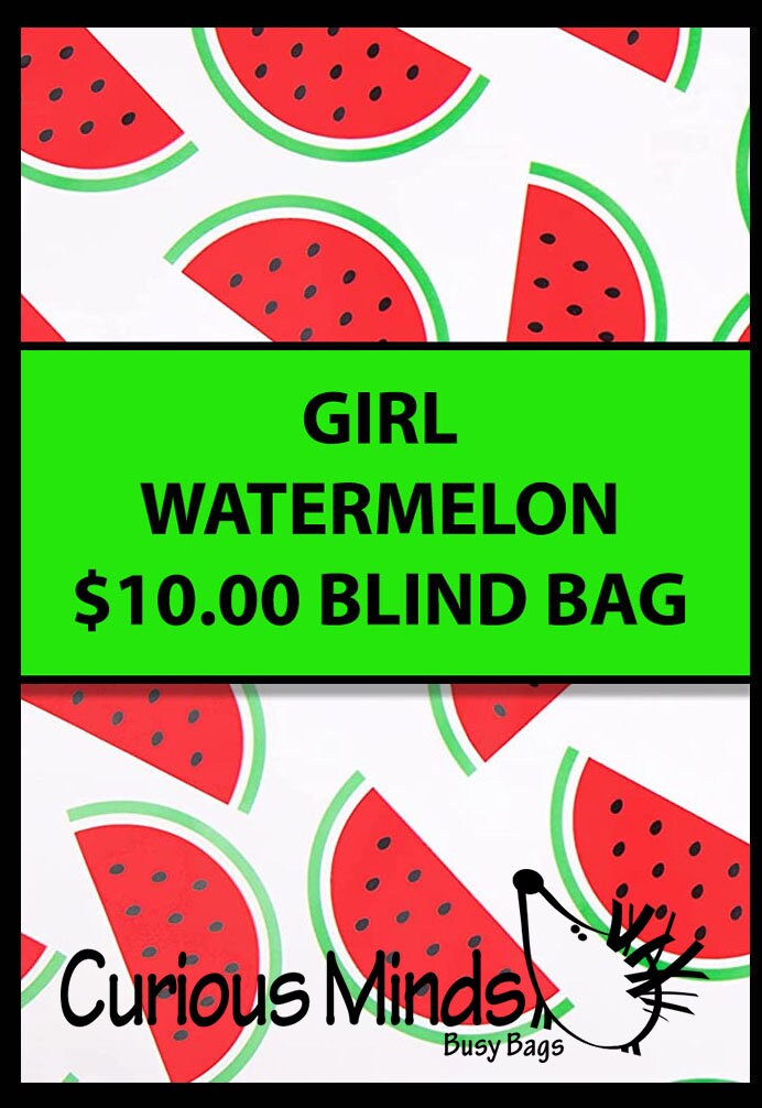10.00 GIRL THEMED (multiple Styles) - Fidget Blind Bag Mystery Bag ...
