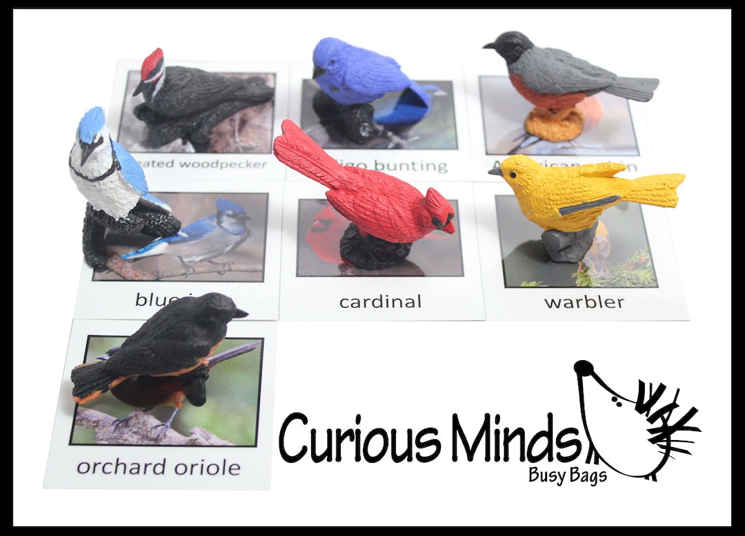 Montessori Bird Animal Match Game - Miniature Animals With Matching ...