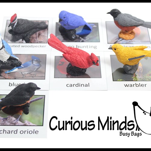 Montessori Safari Animal Match Miniature Animals With | Etsy