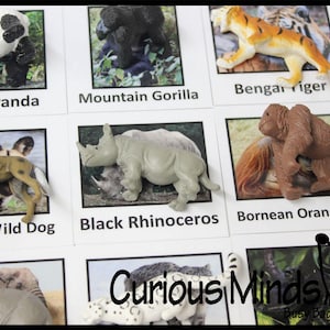 Montessori Endangered Species Animal Match - Miniature Animals With ...
