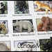 Montessori Endangered Species Animal Match Miniature Animals - Etsy