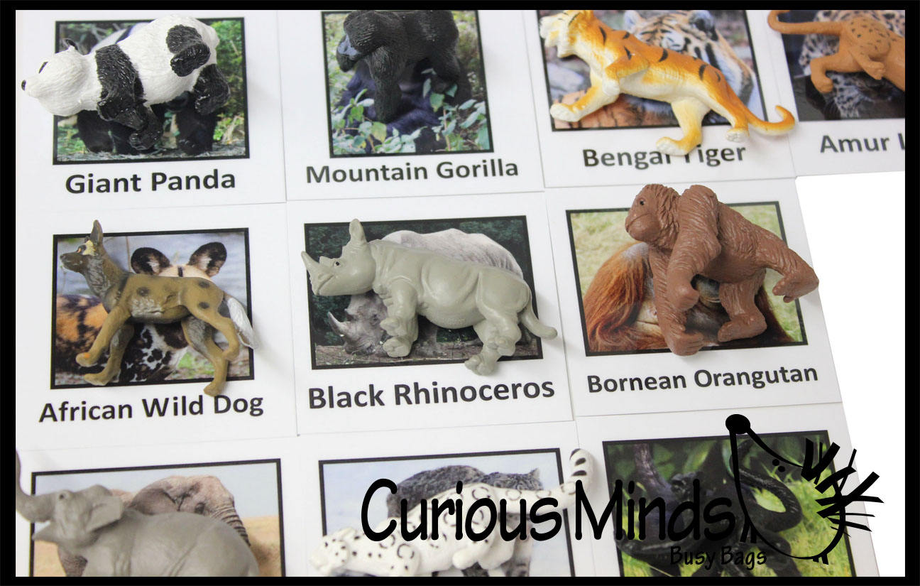 Montessori Endangered Species Animal Match - Miniature Animals With ...