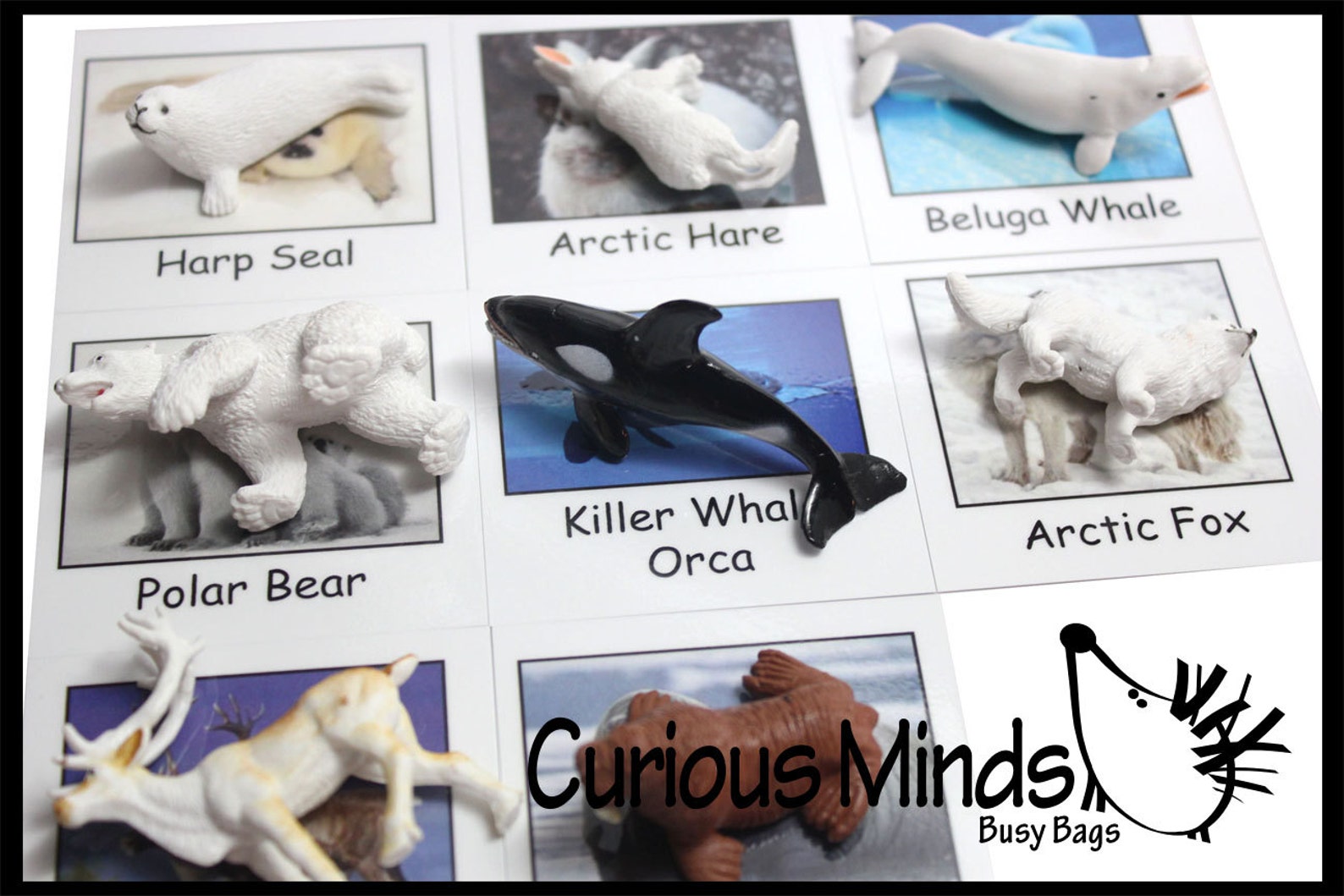 Montessori Arctic Animal Match - Miniature Animals With Matching Cards ...
