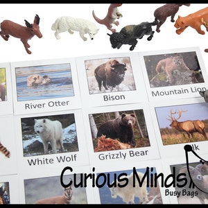 Montessori North American Wildlife Animal Match - Miniature Animals ...