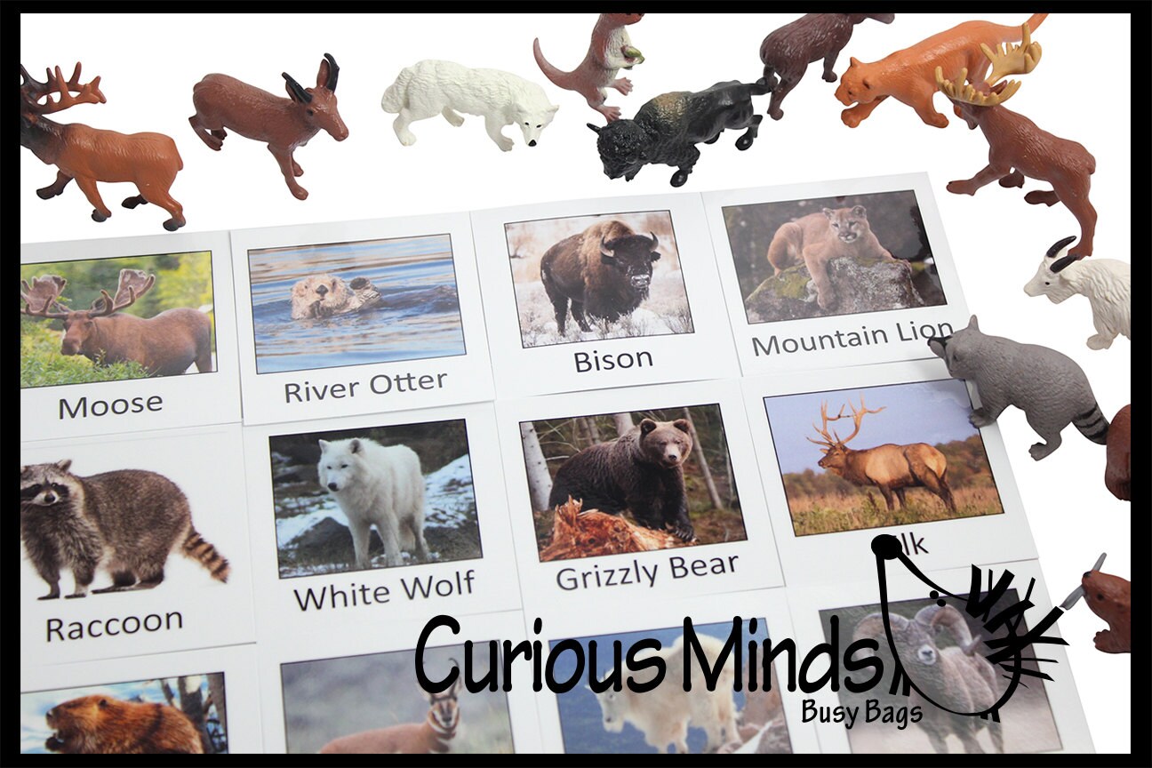 Montessori North American Wildlife Animal Match Miniature - Etsy