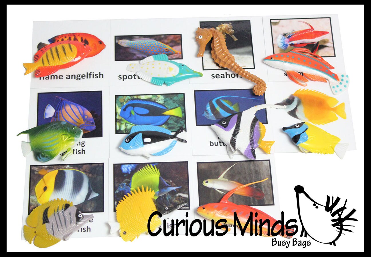 Montessori Animal Match - Miniature Tropical Fish With Matching Cards ...
