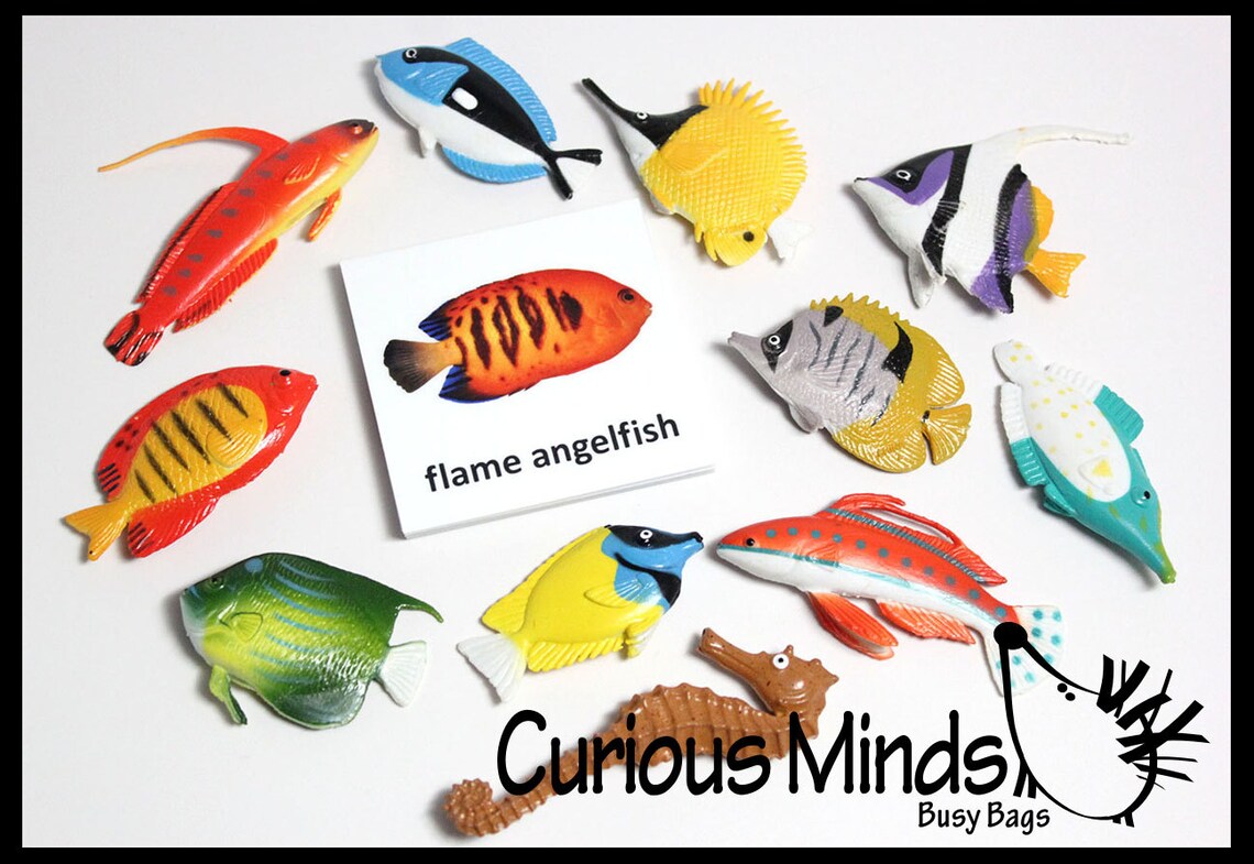 Montessori Animal Match Miniature Tropical Fish With - Etsy