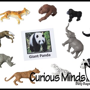 Montessori Endangered Species Animal Match - Miniature Animals With ...