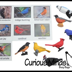 Montessori Bird Animal Match Game - Miniature Animals With Matching ...