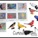Montessori Bird Animal Match Game - Miniature Animals With Matching ...