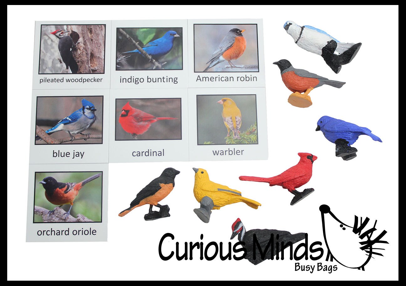 Montessori Bird Animal Match Game - Miniature Animals With Matching ...