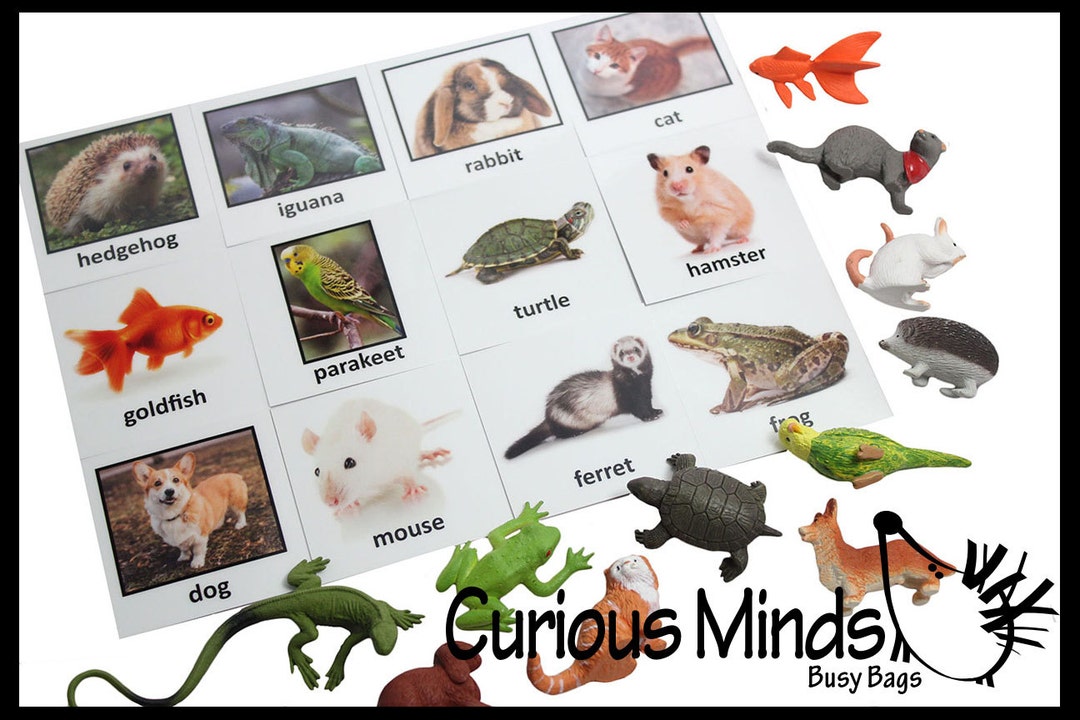 Montessori Pet Animal Match - Miniature Animals With Matching Cards - 2 ...