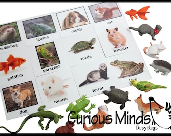 Montessori Safari Animal Match Miniature Animals With Matching Cards 2 ...