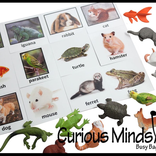 Montessori Language - Etsy