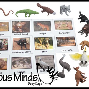 Busy Bag: Australian Animal Match Educational Game Continent Box - Etsy