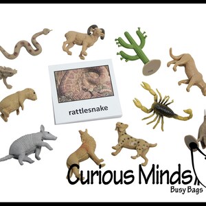 Busy Bag: Desert Animal Match Educational Game - Etsy