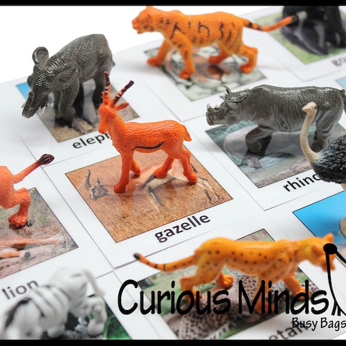 Montessori Safari Animal Match Miniature Animals With | Etsy