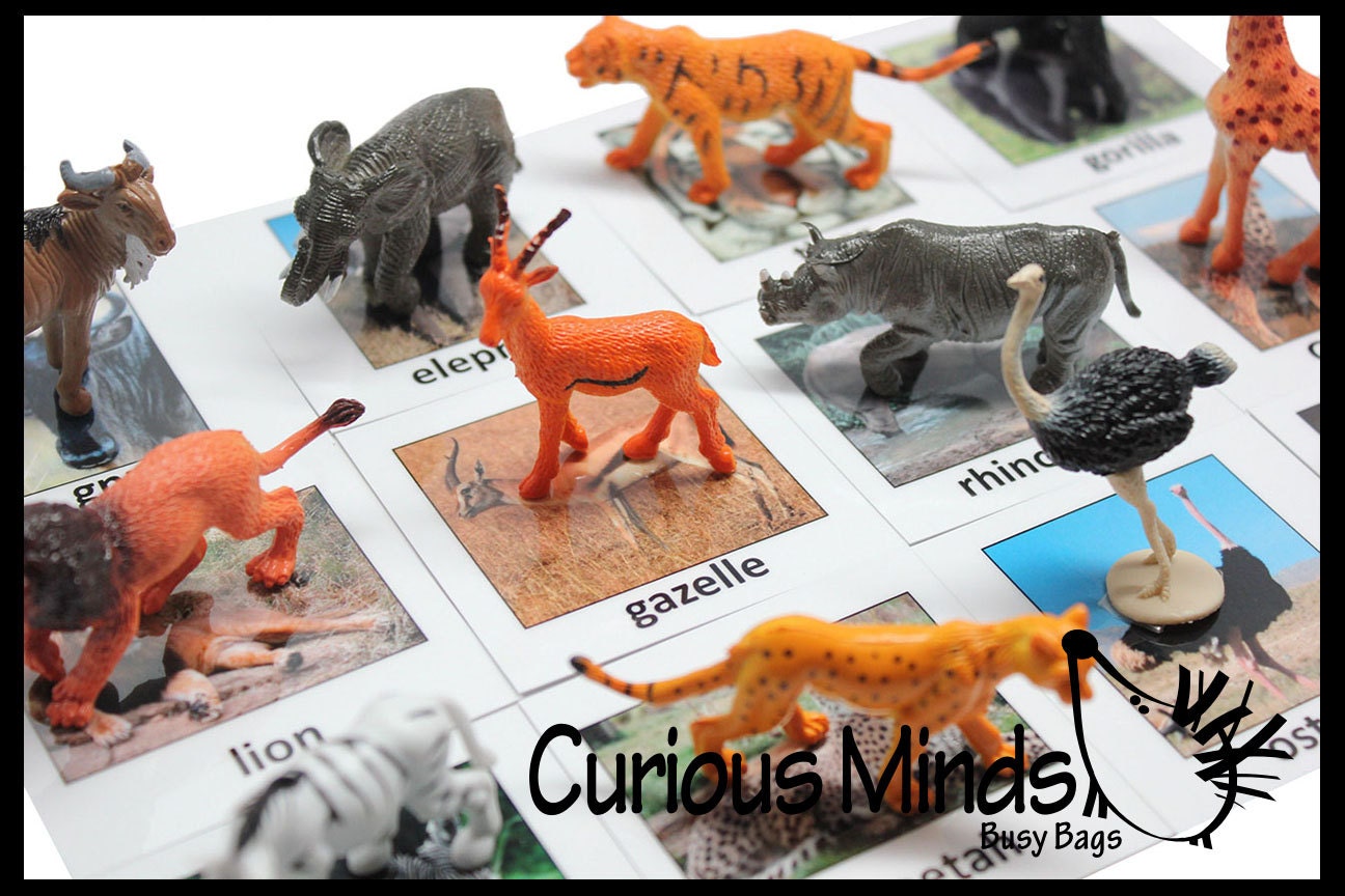 Montessori Safari Animal Match - Miniature Animals With Matching Cards ...