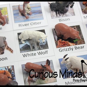 Montessori North American Wildlife Animal Match - Miniature Animals ...