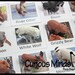 Montessori North American Wildlife Animal Match Miniature Animals With ...