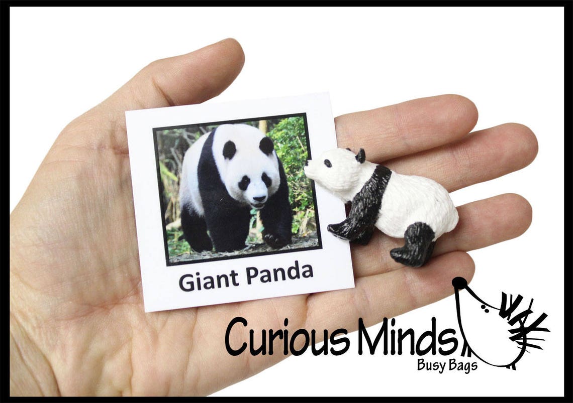 Montessori Endangered Species Animal Match - Miniature Animals With ...