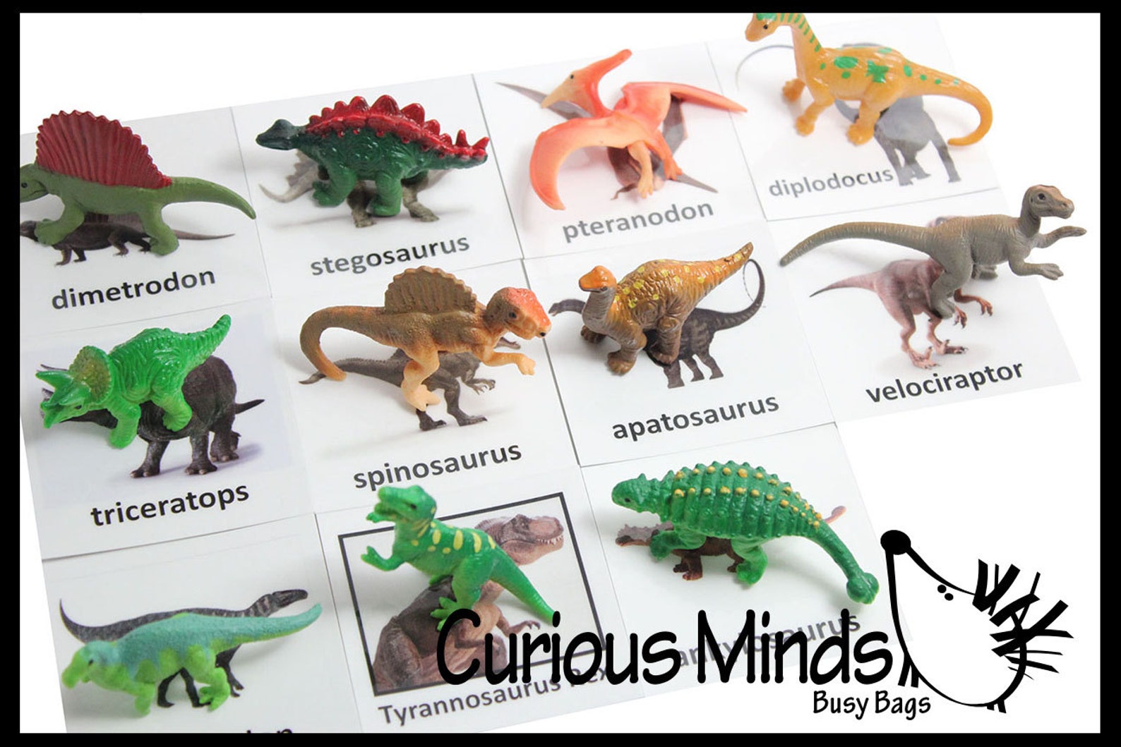 Montessori Dinosaur Object Match Matching miniature dino | Etsy