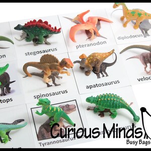 Montessori Dinosaur Object Match Matching miniature dino | Etsy