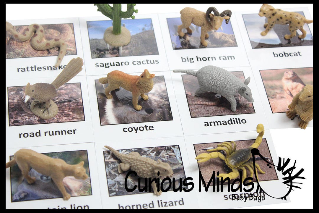 Busy Bag: Desert Animal Match Educational Game - Etsy