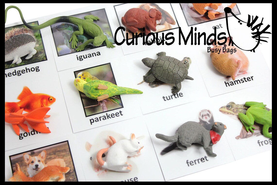 Montessori Pet Animal Match Miniature Animals With Matching | Etsy