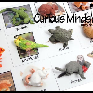 Montessori Pet Animal Match - Miniature Animals With Matching Cards - 2 ...
