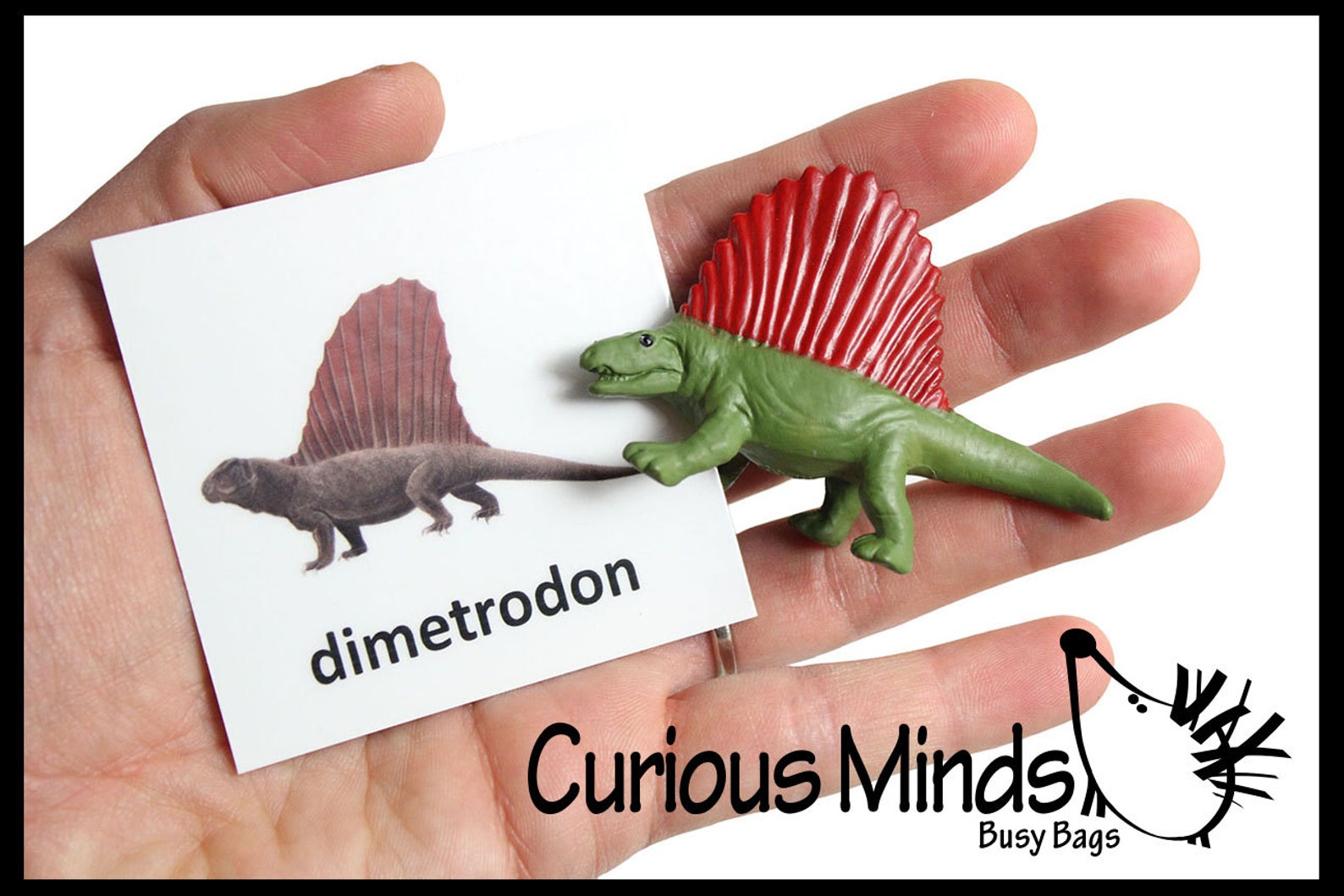 Montessori Dinosaur Object Match - Matching Miniature Dino Figurines to ...