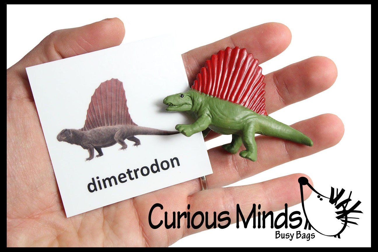 Montessori Dinosaur Object Match - Matching Miniature Dino Figurines to ...