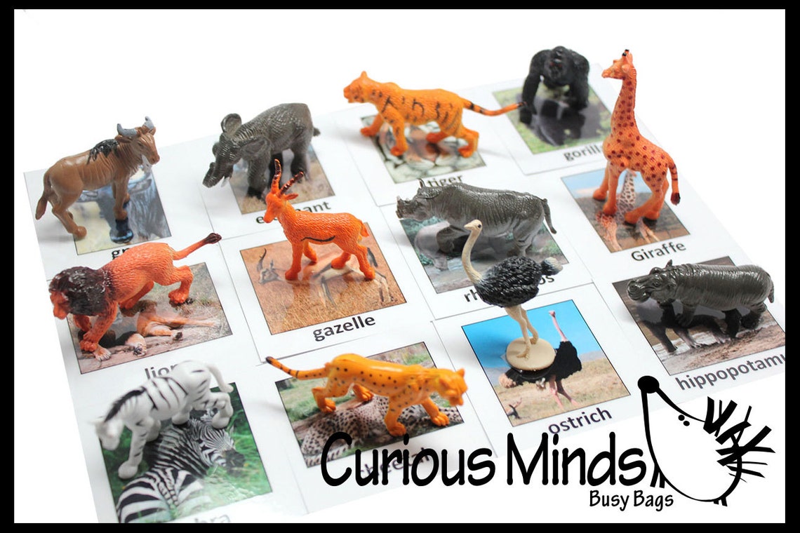 Montessori Safari Animal Match Miniature Animals With - Etsy