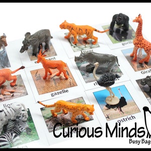 Montessori Safari Animal Match Miniature Animals With Matching Cards 2 ...