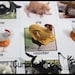 Montessori Farm Animal Match - Miniature Animals With Matching Cards ...