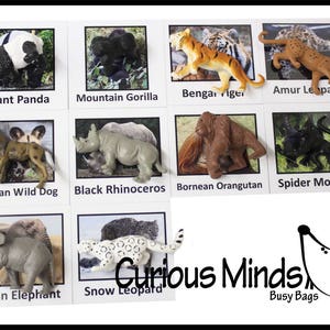Montessori Endangered Species Animal Match - Miniature Animals With ...