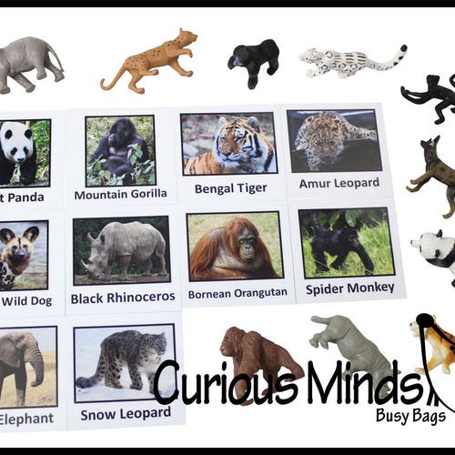 Montessori Endangered Species Animal Match Miniature Animals - Etsy