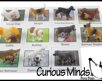 Montessori Safari Animal Match Miniature Animals With | Etsy