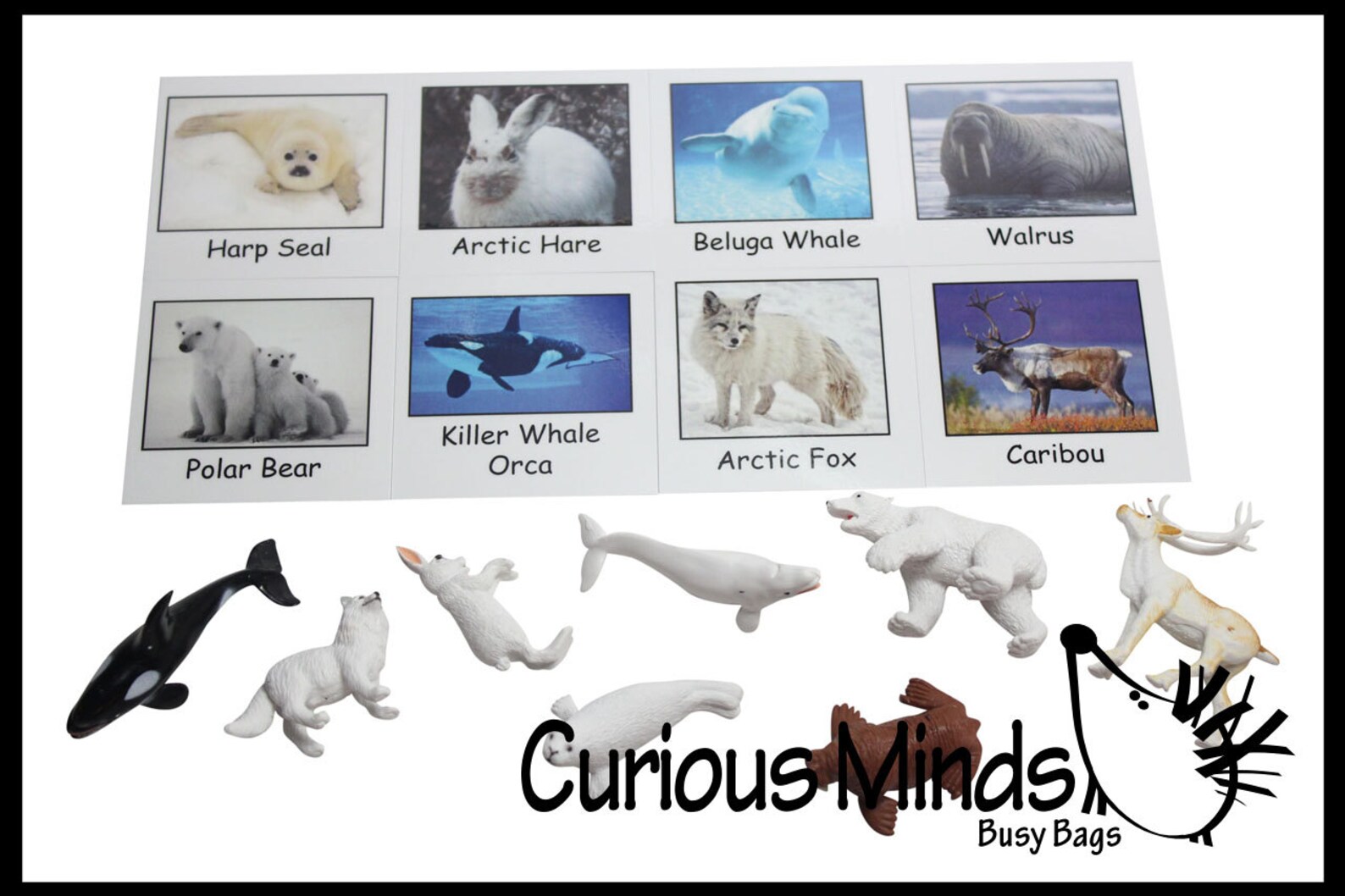 Montessori Arctic Animal Match - Miniature Animals With Matching Cards ...