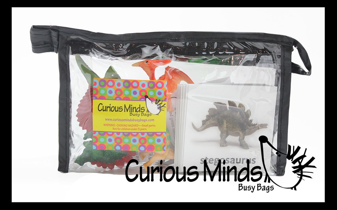 Montessori Dinosaur Object Match Matching miniature dino | Etsy