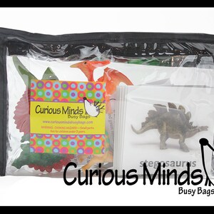 Montessori Dinosaur Object Match - Matching Miniature Dino Figurines to ...