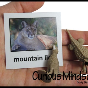 Busy Bag: Desert Animal Match Educational Game - Etsy