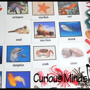 Montessori Ocean Animal Match - Miniature Animals With Matching Cards ...