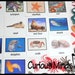 Montessori Ocean Animal Match Miniature Animals With Matching Cards 2 ...