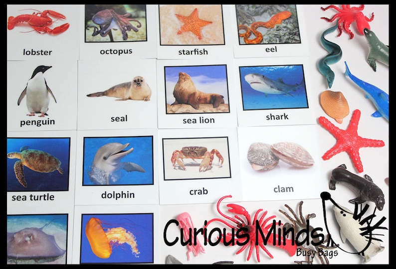 Montessori Ocean Animal Match - Miniature Animals With Matching Cards ...