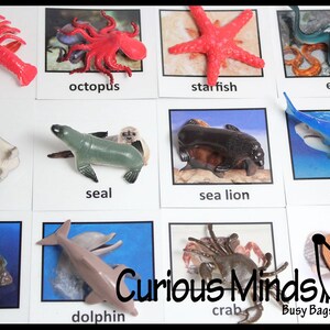Montessori Ocean Animal Match - Miniature Animals With Matching Cards ...