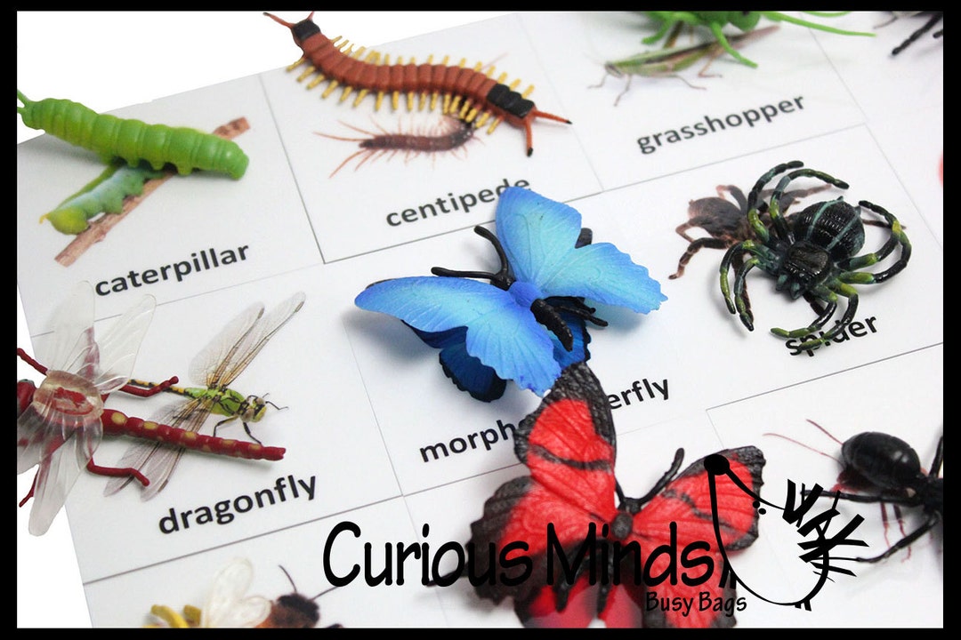 Montessori Insect Animal Match - Miniature Animals With Matching Cards ...