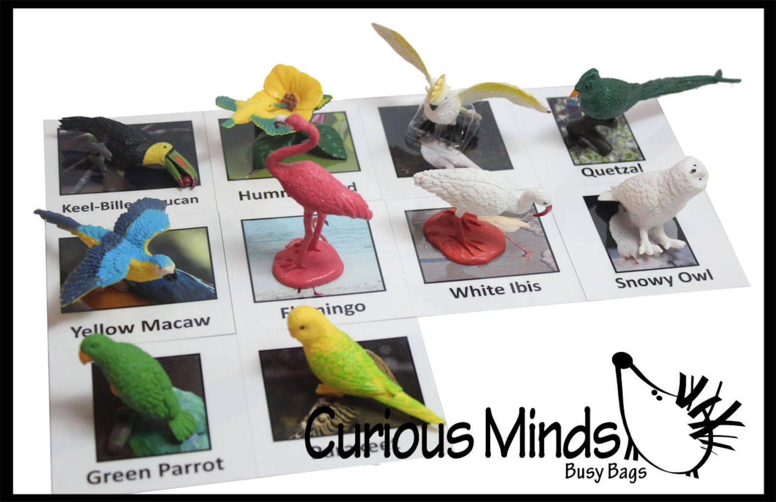 Tropical Exotic Bird Animal Matching Toy Educational | Etsy