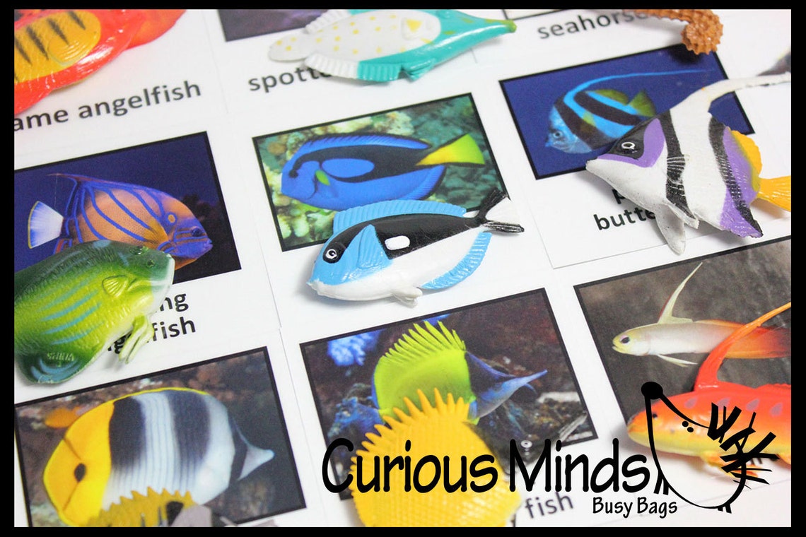Montessori Animal Match - Miniature Tropical Fish With Matching Cards ...